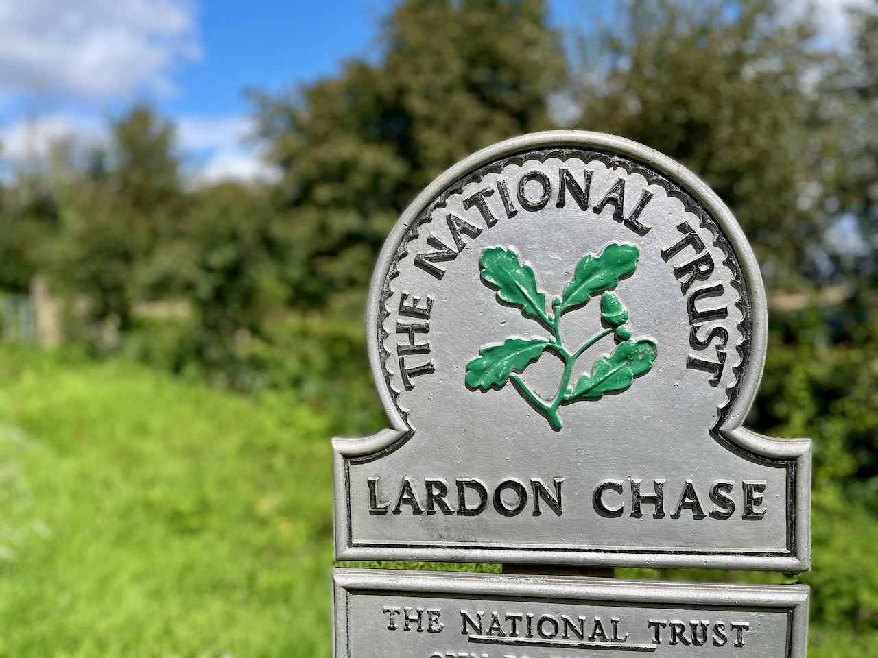 Lardon Chase, Streatley and Goring Gap, great dog walk in Berkshire